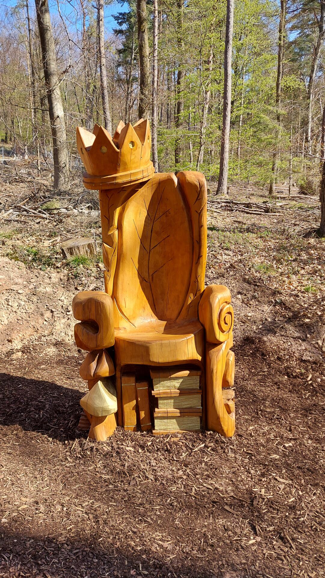 Walderlebnispfad am Litermont neu eröffnet - CityRadio Saarland